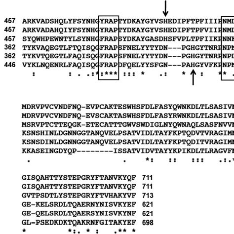 Sequence Alignments Of Hvta Hupa And Their Homologs A Clustalw