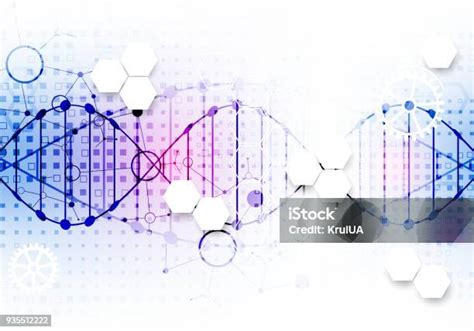 科學範本dna 分子背景向量圖形及更多人圖片 人 人類基因組碼 人體構造 Istock