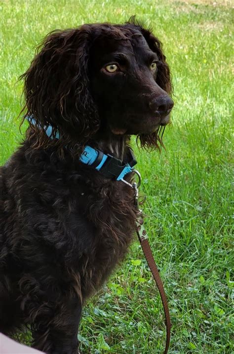 We Havent Updated The Website Yet But Wanted To Introduce You To Odin