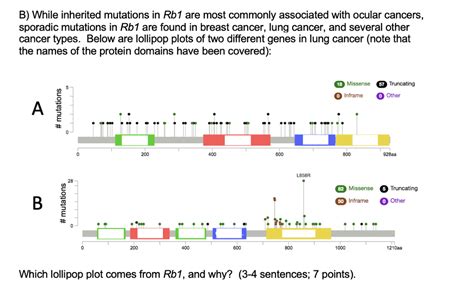 Solved B While Inherited Mutations In Rb Are Most Commonly Chegg