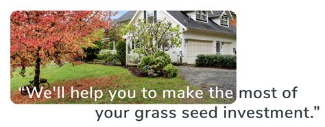 Simple Lawn Care Tips And Best Grass Seed For Fall