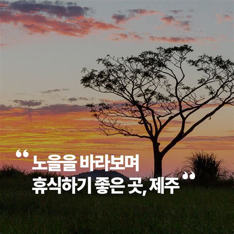 디오션스테이 제주의 노을을 바라볼 때마다 이 곳에 내려오길 잘했다고 생각이 들어요 지친 도시생활에 피로를 느끼고 어디론가