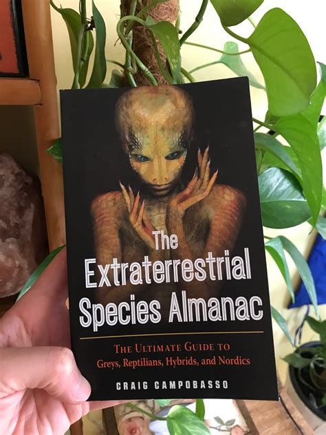 The Extraterrestrial Species Almanac The Ultimate Guide To Greys