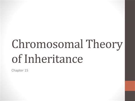 Ppt Chromosomal T Heory Of Inheritance Powerpoint Presentation Free Download Id2100567