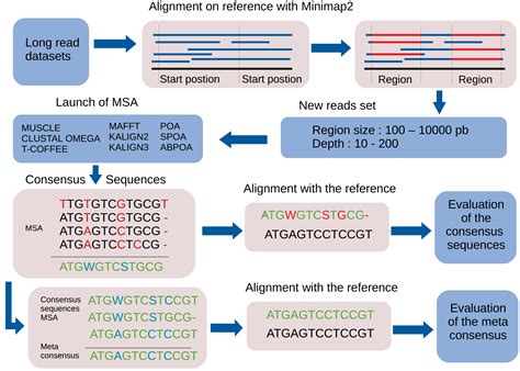 Automated Evaluation Of Multiple Sequence Alignment Methods To Handle Third Generation