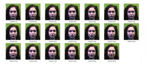 Figure 2 From The Performance Of Siamese Neural Network For Face