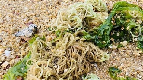 金門海灘見「一坨涼麵＋涼拌青菜」？超認真答案曝光 網驚：長知識了！ 生活 三立新聞網 Setncom
