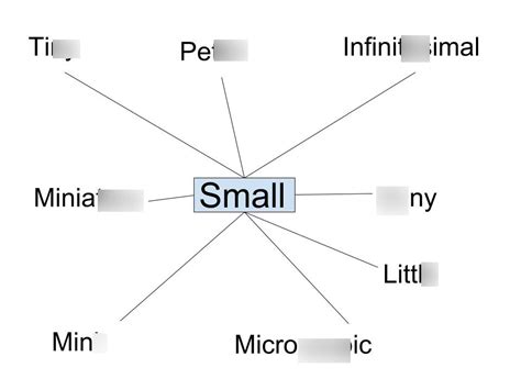 Diagram Small Diagram Quizlet