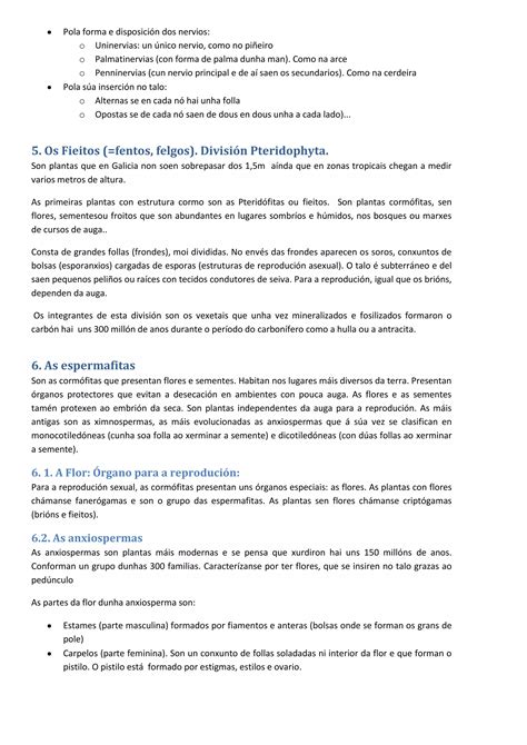 1º Eso Tema 11 O Reino Plantas Pdf