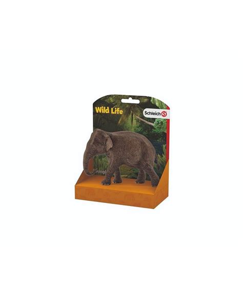 Schleich Wildlife Asian Elephant Female Toy Figure Macys