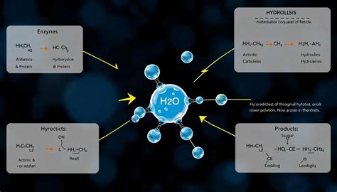 Apa Itu Hidrolisis Proses Kimia Dan Reaksi Yang Terlibat