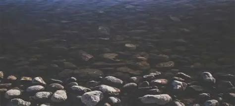 Sql 기초 쿼리문과 실습 팁 스탑레이즈