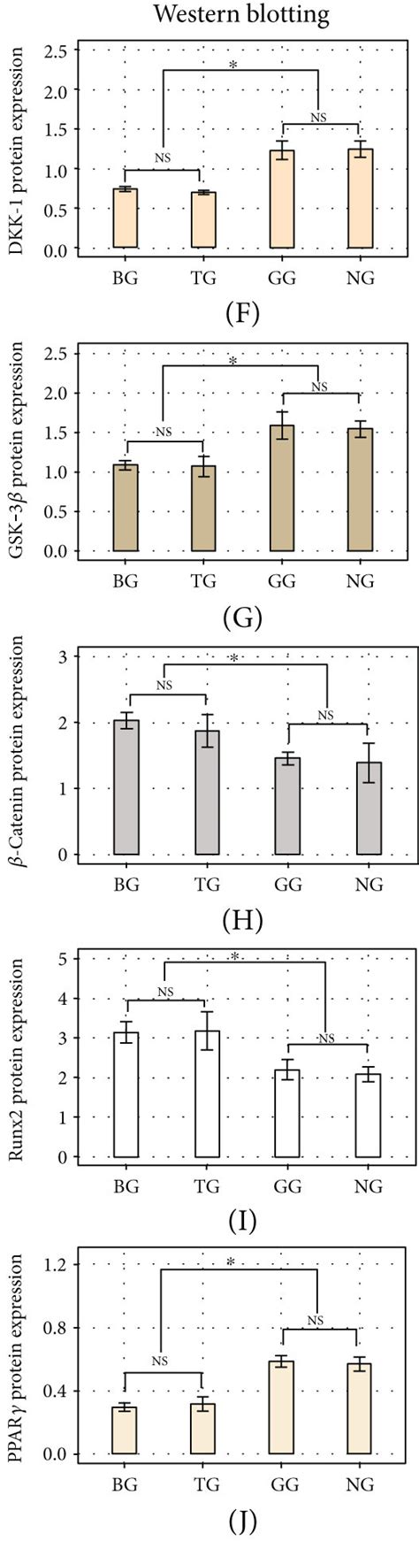Rt Pcr Analyses A For Mrna Levels Of Dkk 1 Gsk3β β Catenin Runx2