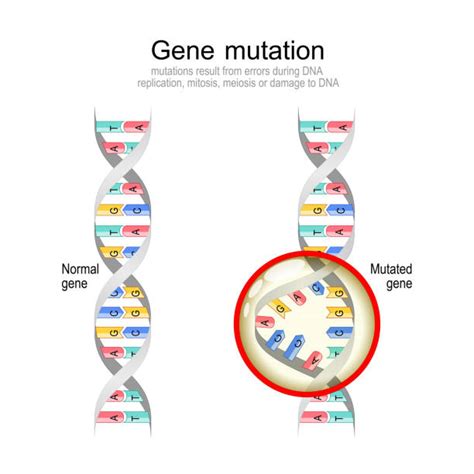 Clipart Depart Mutation V4