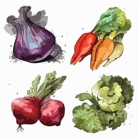 Premium Vector Vegetable Sets Vegetable Watercolor Painting Package