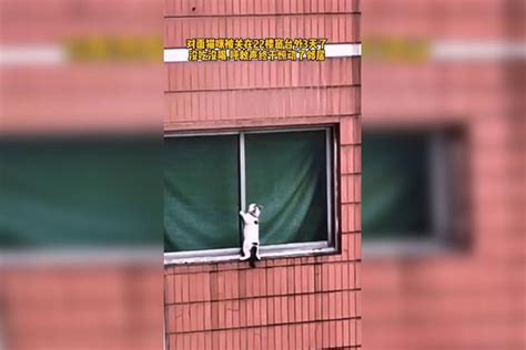 对面22楼主人隔离把猫咪关在了窗台外不停的呼救终于等待了邻居的出现 窗台 隔离 猫咪