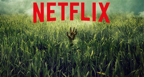 In The Tall Grass Dans Les Hautes Herbes Le Guide Complet Du