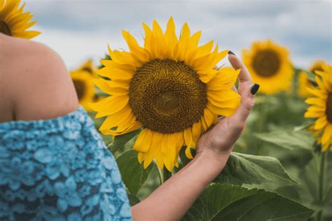 Find Peace And Self Love After A Toxic Relationship Recovery From
