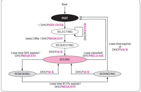Solved Describe The Following Client DHCP Transi SolutionInn