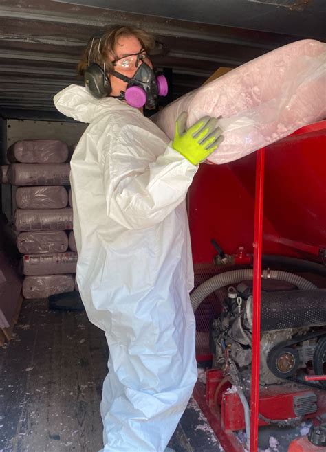 Meet Alona Pandas Newest Team Member Panda Insulation