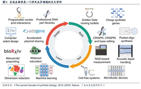 【行业】基础化工 合成生物学创造美好生活（51页）乐晴智库