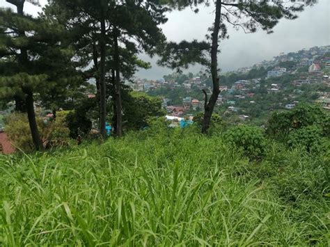1000 Square Meters Lot In San Roque Baguio City Bayquen Realty And