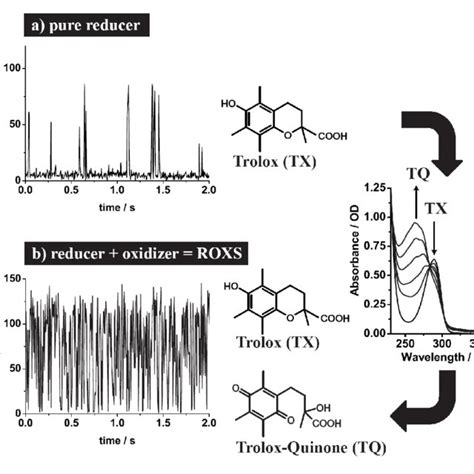 A Photophysical Processes Of Common Organic Fluorophores According To