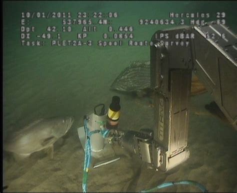 Angola Southern Africa Hydroconsult