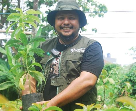 Bisnis Bibit Alpukat Cipedak Tersertifikasi Trubus