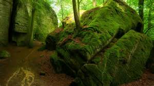 Teufelsschlucht Eifel Hiking Germanys Devils Gorge 4k