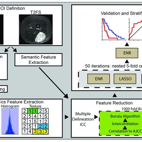 Radiomic Pipeline For Advanced Rare Tumor Download Scientific Diagram