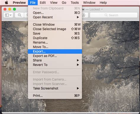 How To Convert Image To Png On Windows And Mac 8 Online And Offline Tools Itselectable
