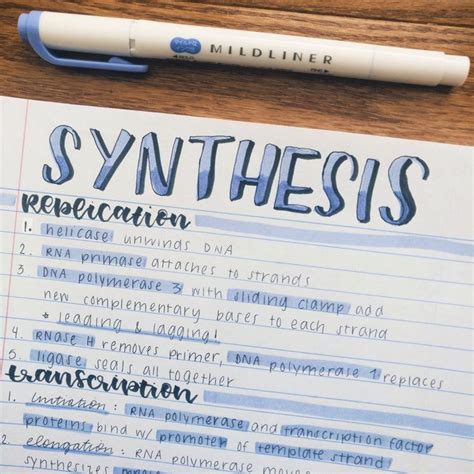 Biology Notes Synthesis Diagram