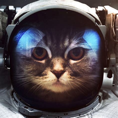 Stream Yoeri Music Listen To Songs Albums Playlists For Free On