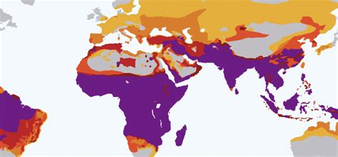 Malaria Was Common Across Half The World Since Then It Has Been