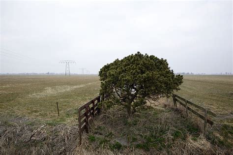 Taming The Jungle By Stocksy Contributor Marcel Stocksy