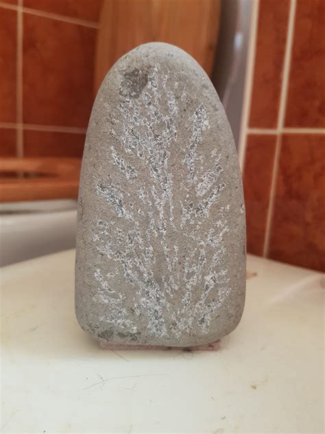 Some Kind Of Dendritic Formation Rwhatsthisrock