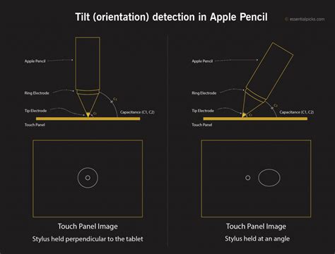 Explained How Apple Pencil Works Simplified With Infographic