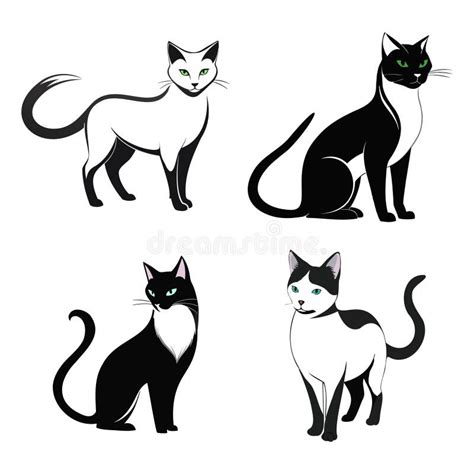 Set Of Black And White Cats In Different Poses Stock Vector