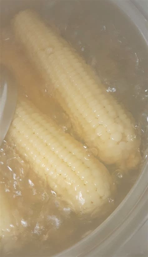 길거리 옥수수 삶는 법백종원 옥수수 삶는 법in 뉴슈가냄비에 옥수수 삶기