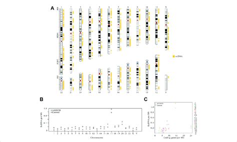 Genomic Distribution Of Ecdnas And The Correlation With Frequency Of