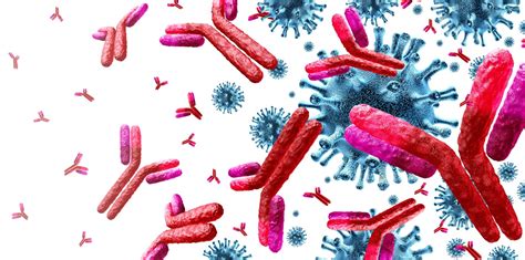 Antigen Vs Antibody What S The Difference