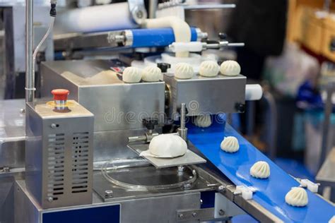 Automatic Food Maker Machine In Food Industry Factory Baozi Chinese