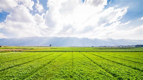 Modern Technology For Enhancing Agricultural Productivity Tech Quintal