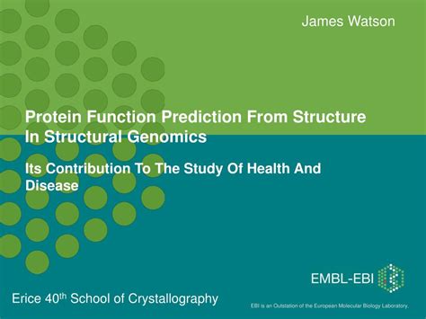 Ppt Protein Function Prediction From Structure In Structural Genomics Powerpoint Presentation