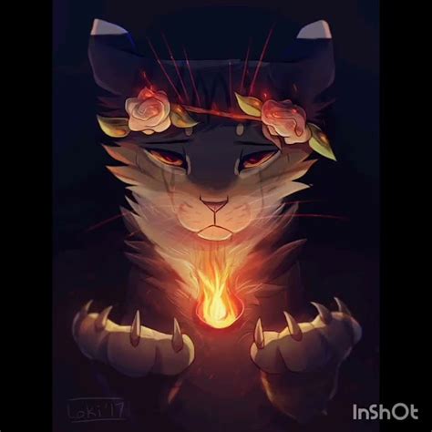 Коти воители Warriorcats Youtube
