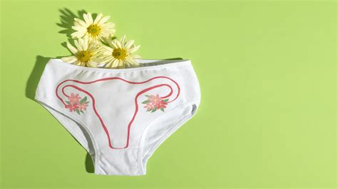 Bartholins Cyst Causes Symptoms And Treatment Meri Sehat