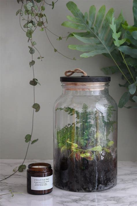 DIY terrarium fermé pas à pas pour réaliser un jardin sous verre