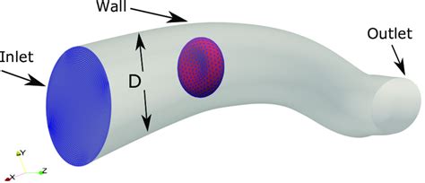 The Computational Setup For The Fluid Structure Interaction Simulation