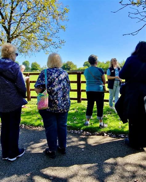 Ann Massey Mcelroy On Linkedin Knittingtour Irelandtravel